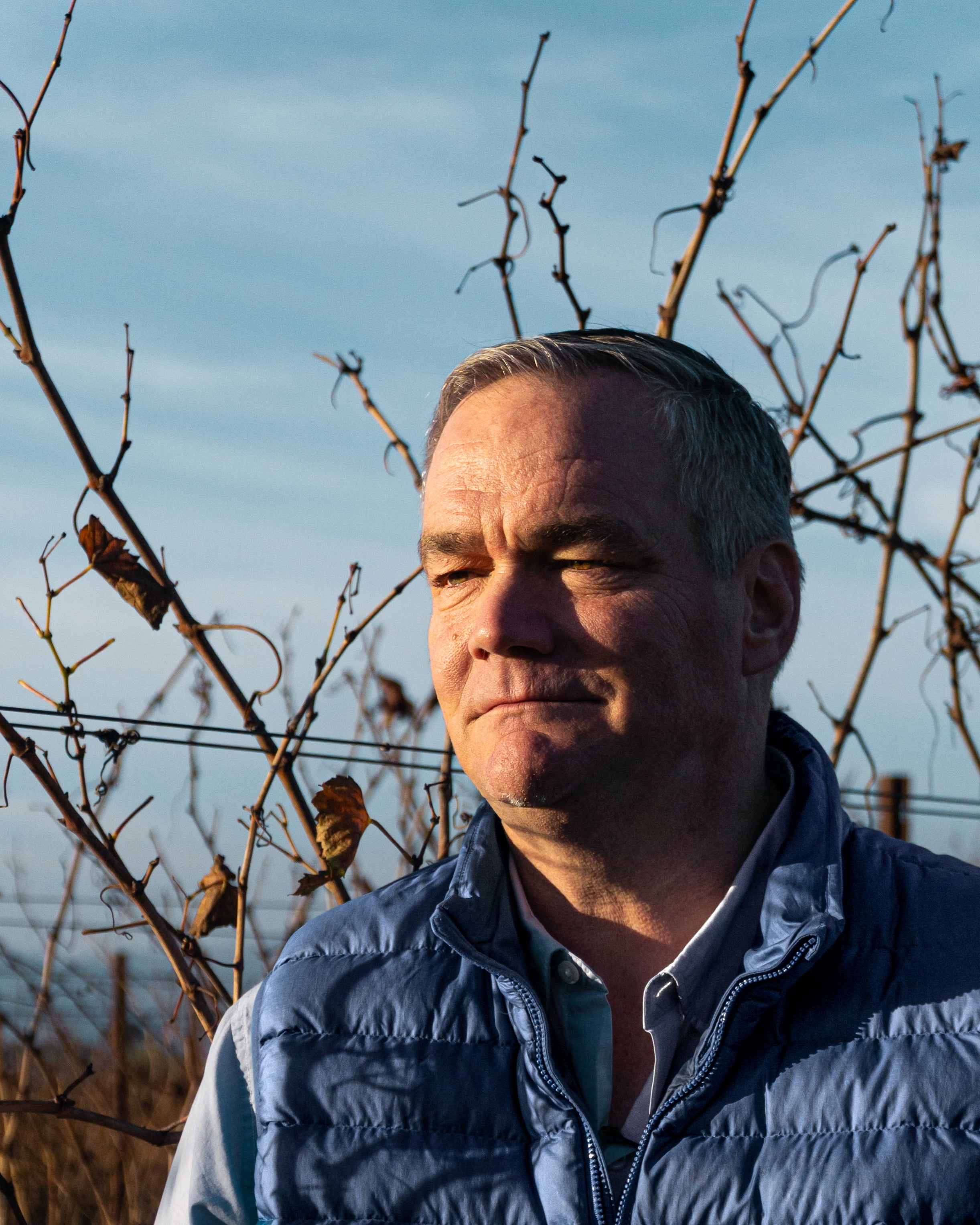 About us – Conn Creek Winery